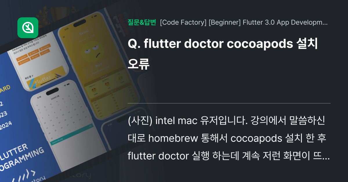 flutter doctor cocoapods 설치 ... - Inflearn | Community Q&A