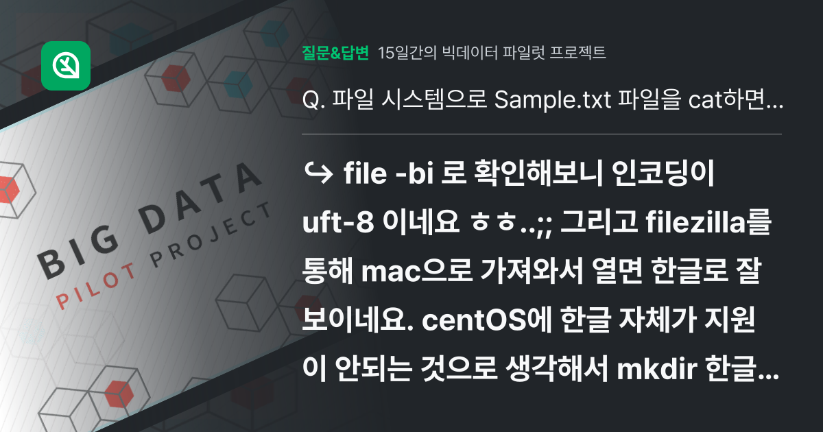파일 시스템으로 Sample.txt 파일을 cat하면 글자가 깨집... - 인프런 | 커뮤니티 질문&답변