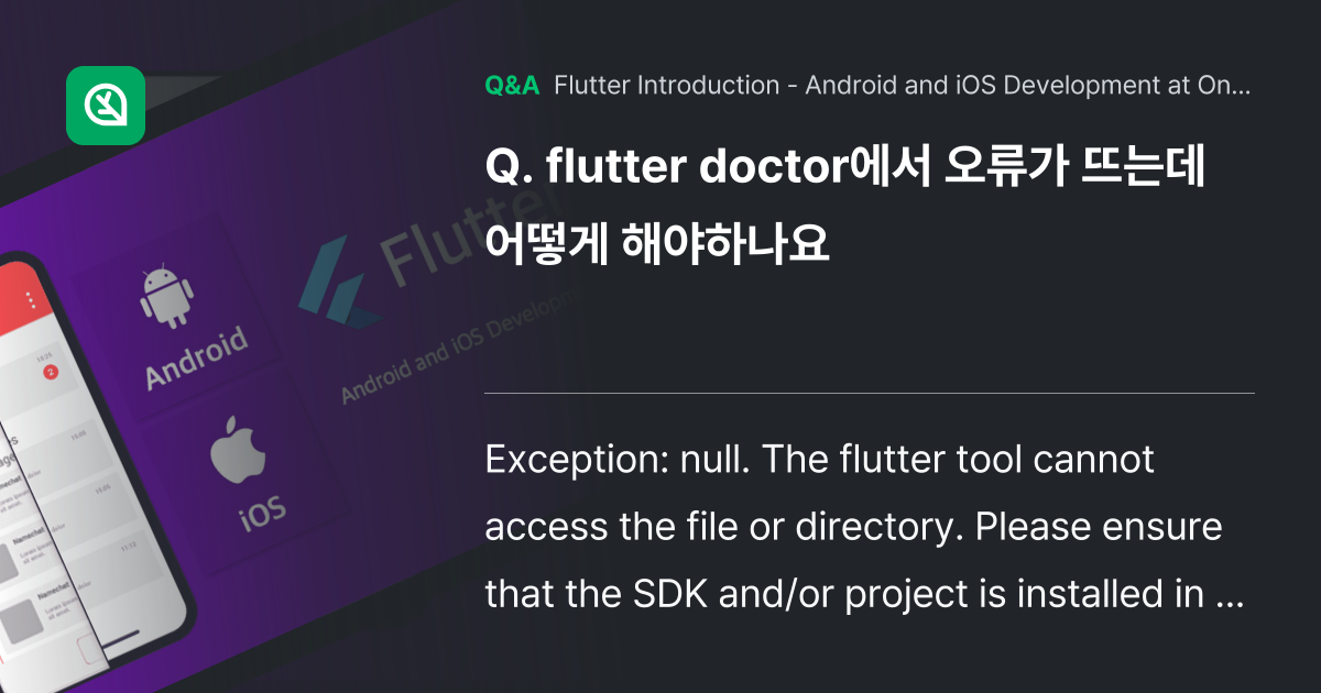 flutter doctor에서 오류가 뜨는데 어떻게... - Inflearn | Community Q&A