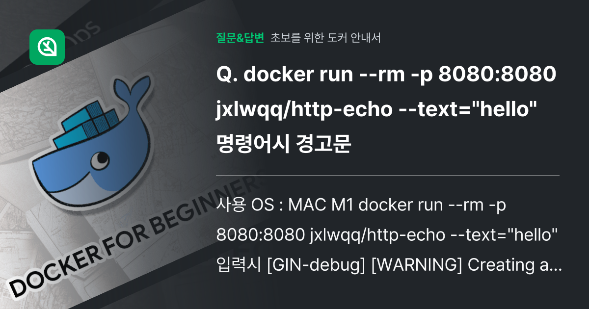 docker run --rm -p 8080:8080 jxlwqq/... - 인프런 | 커뮤니티 질문&답변