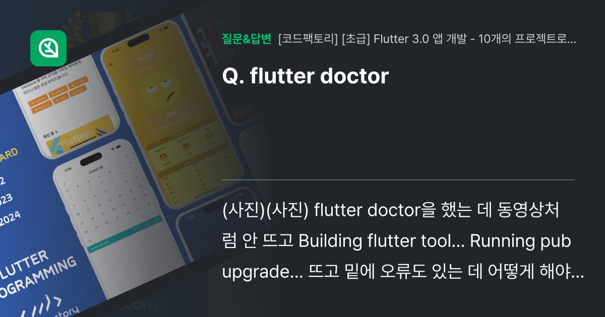 flutter doctor - 인프런 | 커뮤니티 질문&답변