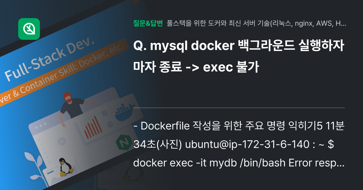 mysql docker 백그라운드 실행하자마자 종료 -> exec... - 인프런 | 커뮤니티 질문&답변