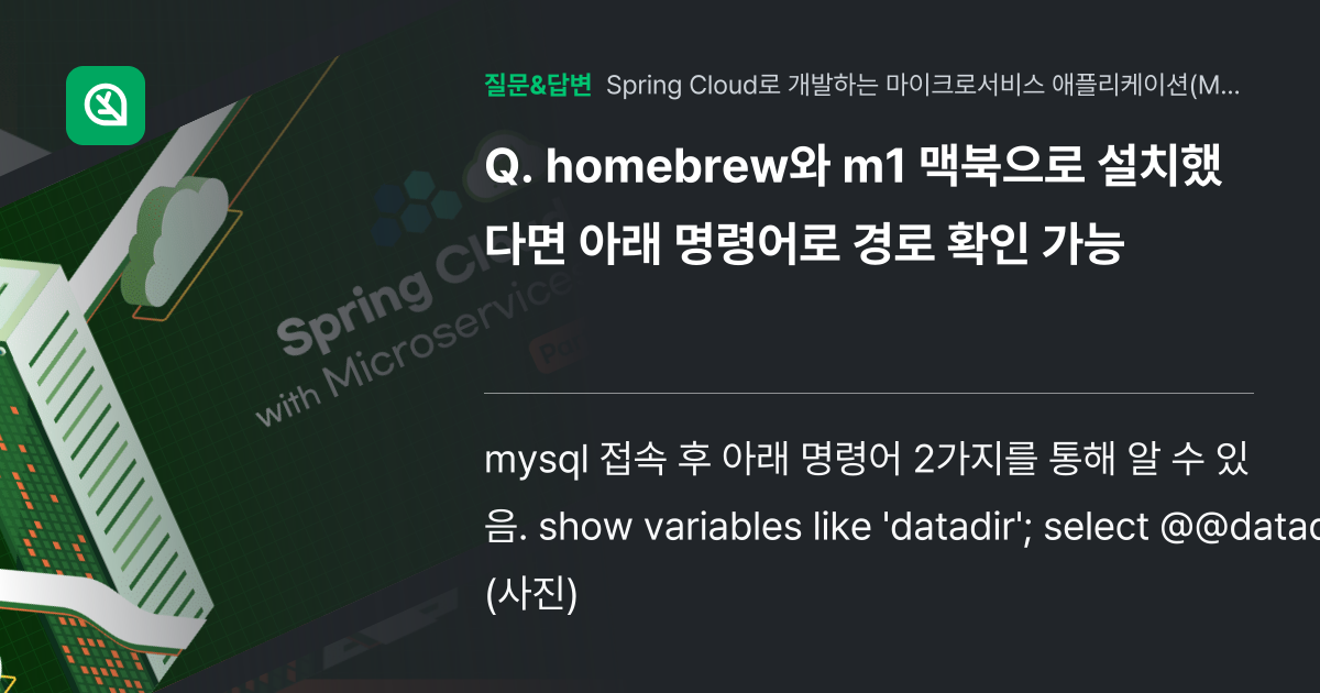 homebrew와 m1 맥북으로 설치했다면 아래 명령어로 경로 확... - 인프런 | 커뮤니티 질문&답변