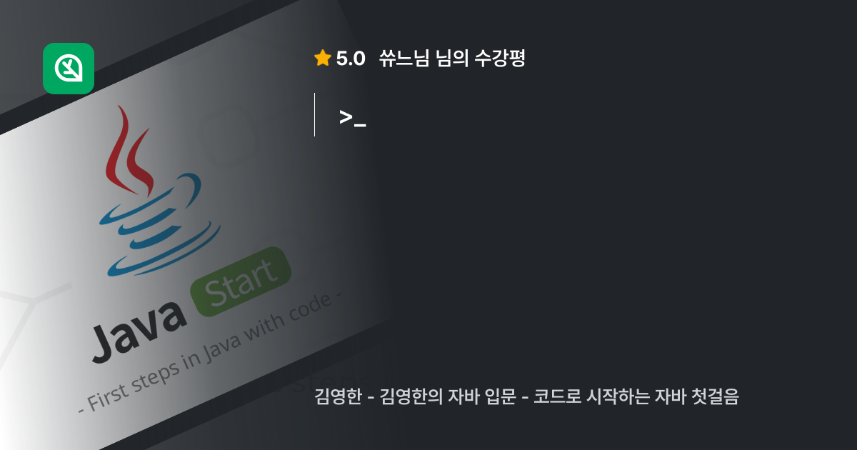 쓔느님님의 생생한 수강평 김영한의 자바 입문 코드로 시작하는 자바 첫걸음 인프런 수강평