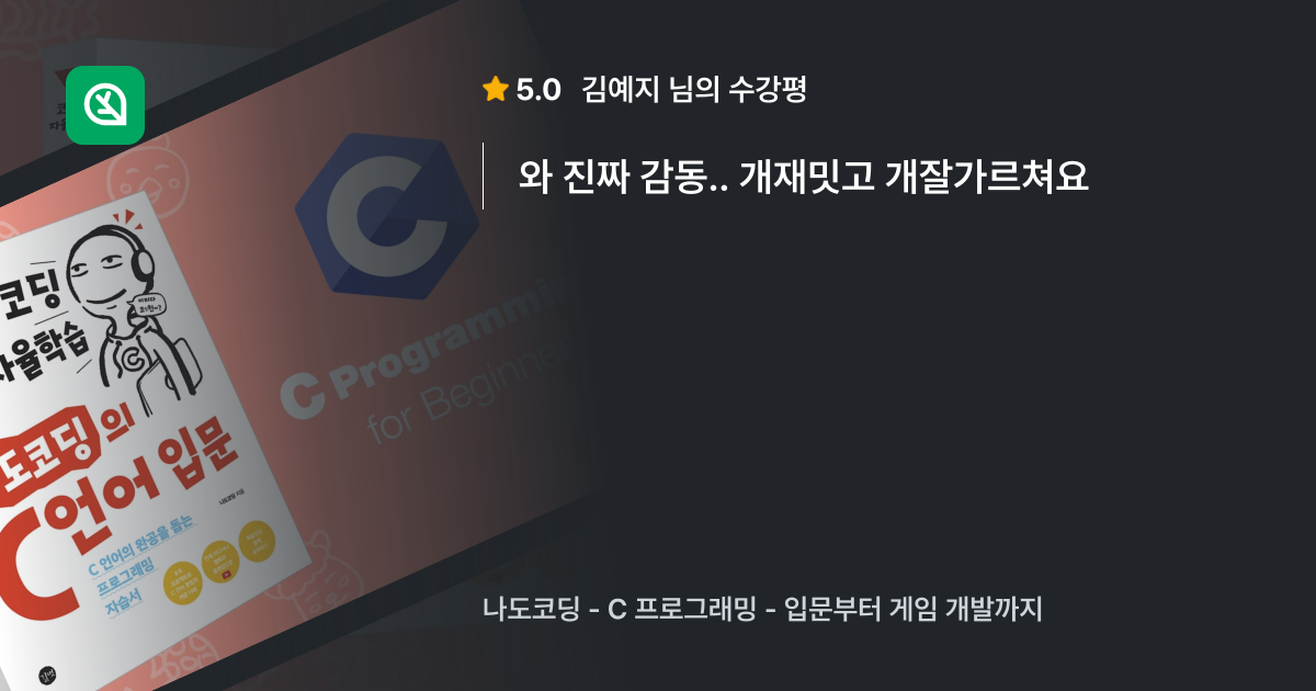 김예지님의 생생한 수강평 C 프로그래밍 입문부터 게임 개발까지 인프런 수강평