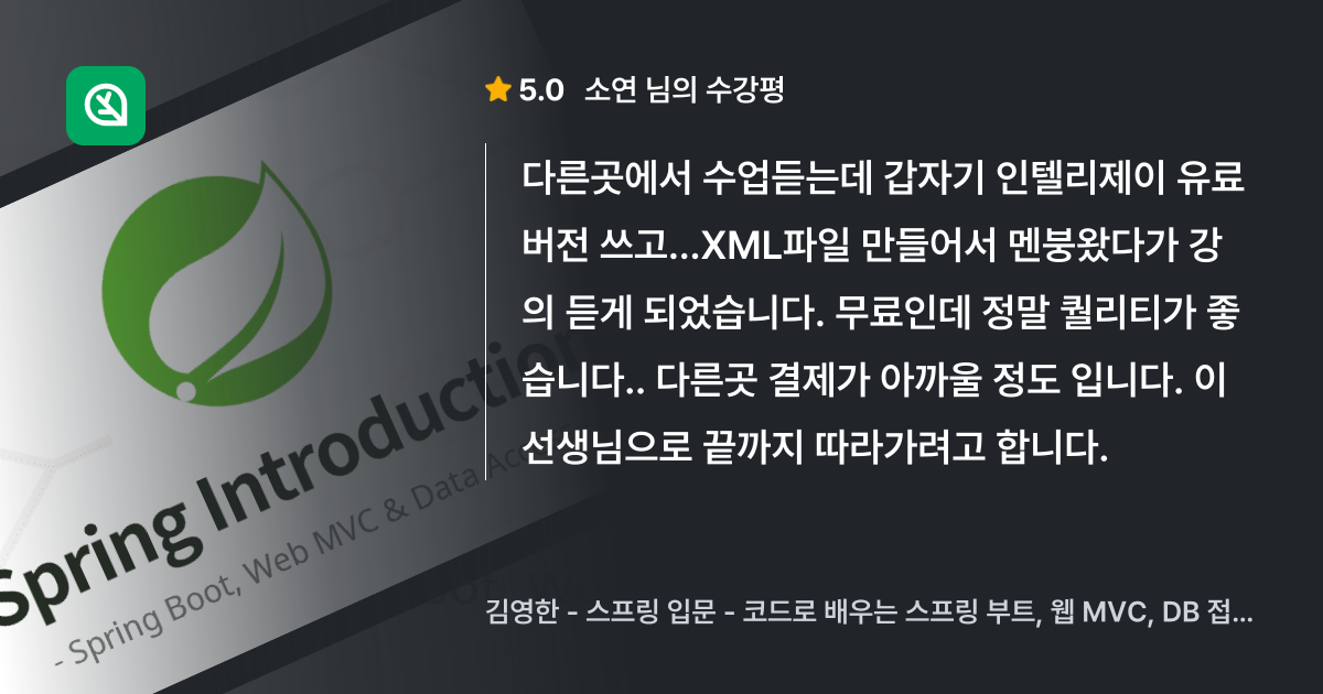 소연의 생생한 수강후기 스프링 입문 코드로 배우는 스프링 부트 웹 Mv 인프런 수강평