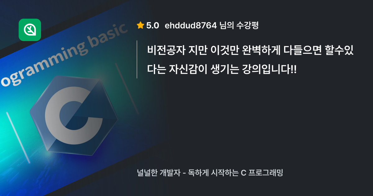Ehddud8764님의 생생한 수강평 독하게 시작하는 C 프로그래밍 강의 인프런 수강평