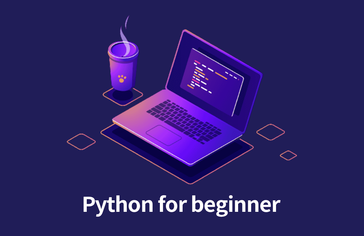 Primary Data Types Python 입문자를 위한 강의 0498
