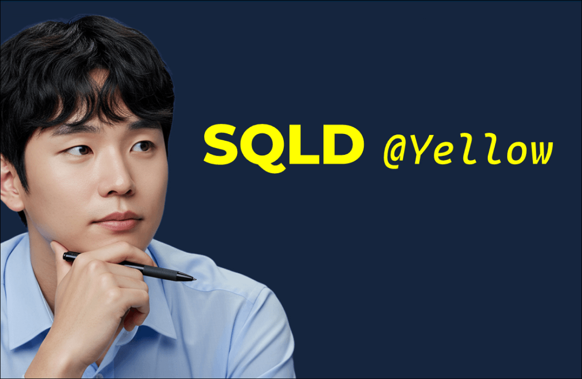 강의 활용 방법 안내 | [2025] SQLD 문제가 어려운 당신을 위한 노랭이 176 문제 풀이