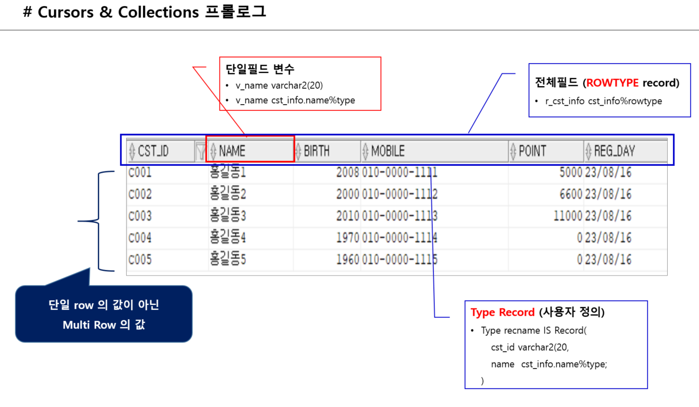 Oracle Plsql 딱 이만큼 개념실전 강의 It늦공 김부장 인프런