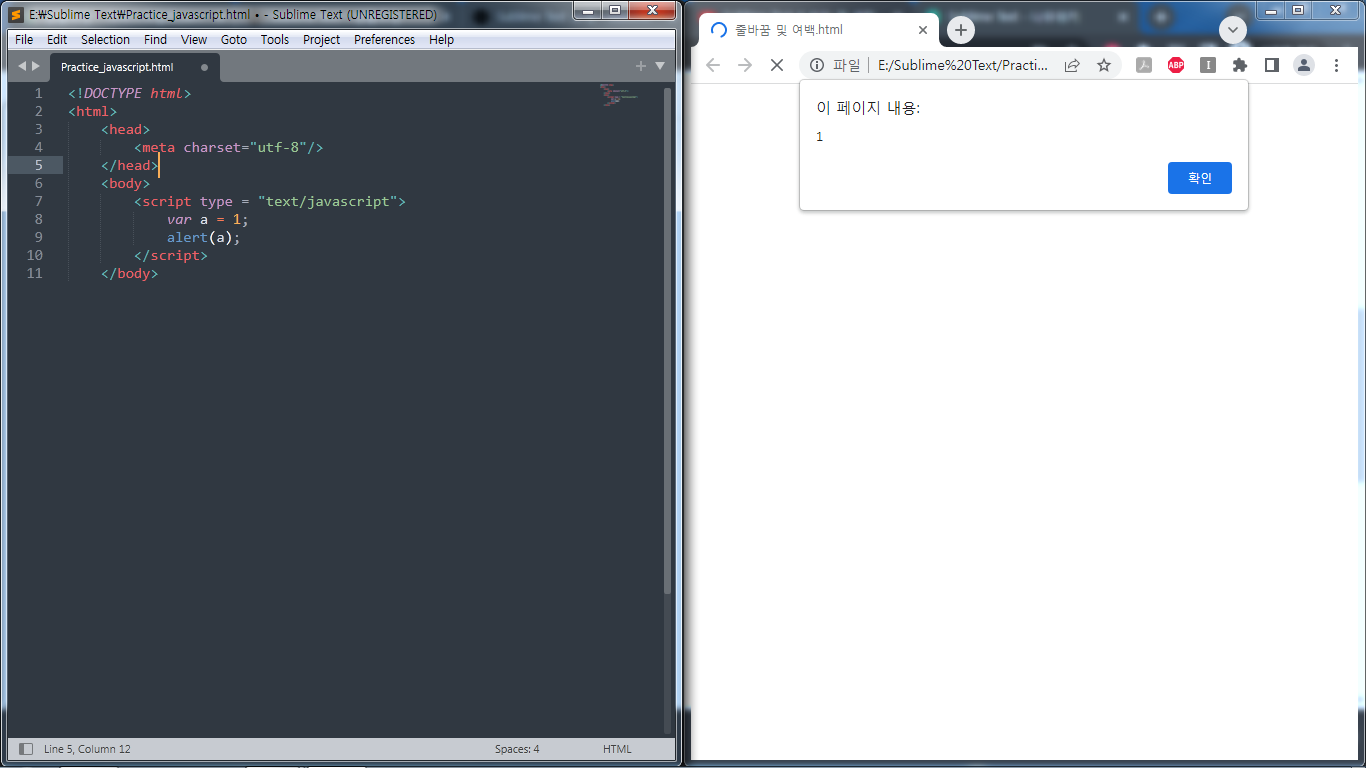chawoo9905님의 생활코딩 - 자바스크립트(JavaScript) 기본 학습노트 - 인프런